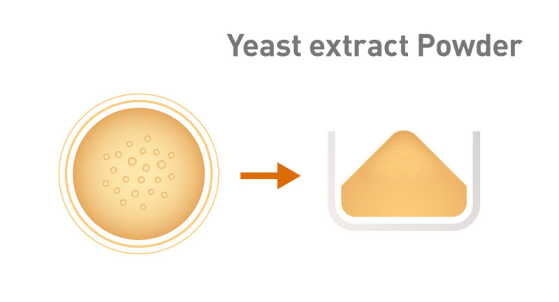 Yeast Extract | Production