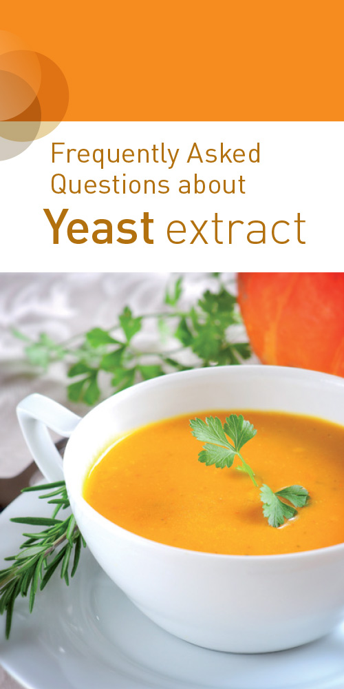 Yeast Extract | More Information